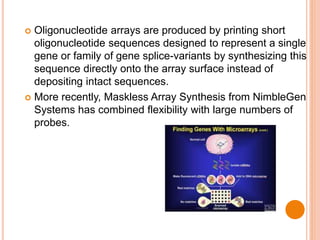 DNA CHIPS AND MICROARRAY.pptx
