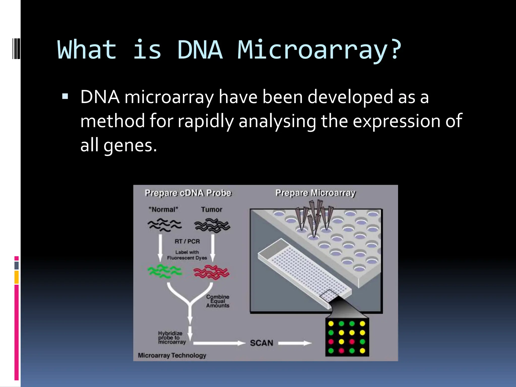 DNA microarray.ppt