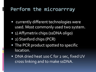 DNA microarray.ppt