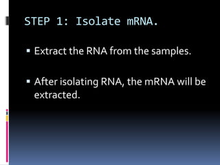 DNA microarray.ppt