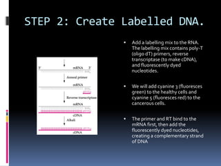DNA microarray.ppt