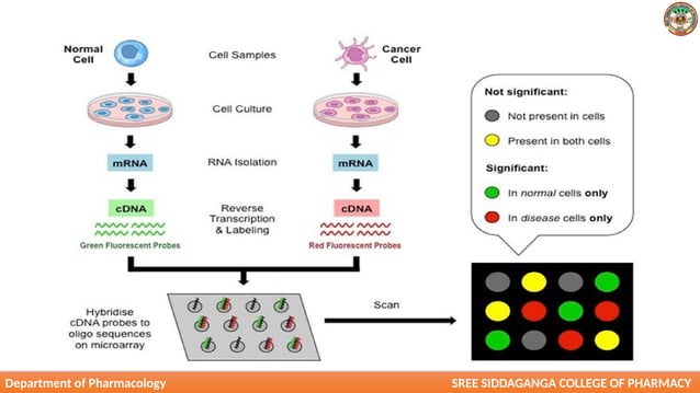 Dna microarray, Role of nucleic acid . | PPTX