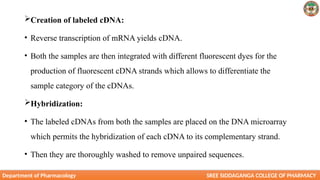 Dna microarray, Role of nucleic acid . | PPTX