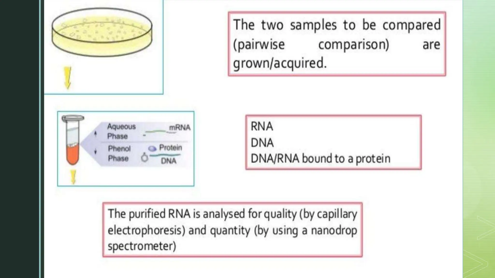 DNA Microarray technique in pathology .pptx DNA Microarray technique in pathology .pptx