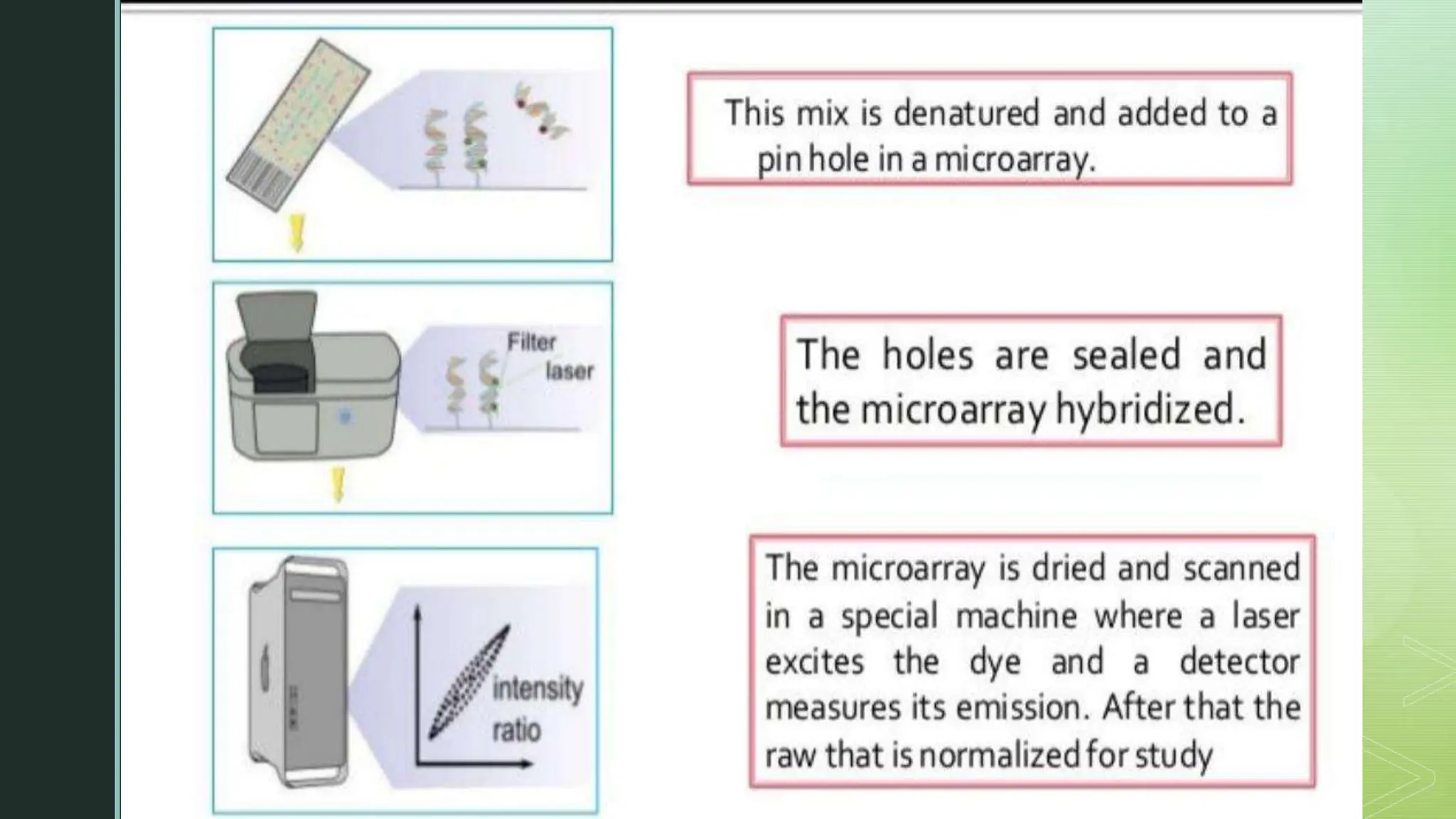 DNA Microarray technique in pathology .pptx