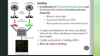 DNA Microarray technique in pathology .pptx