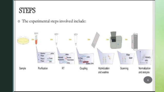 DNA Microarray technique in pathology .pptx