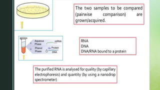 DNA Microarray technique in pathology .pptx