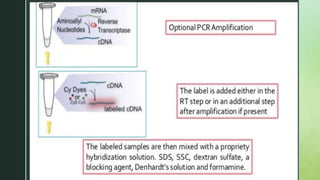 DNA Microarray technique in pathology .pptx