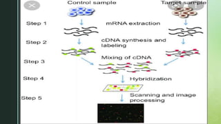 DNA Microarray technique in pathology .pptx