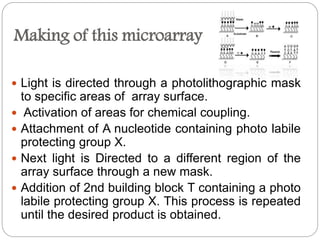 Dna microarray and its role in plant pathology | PPTX