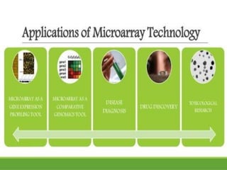 Dna microarray and its role in plant pathology | PPTX