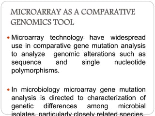 Dna microarray and its role in plant pathology | PPTX