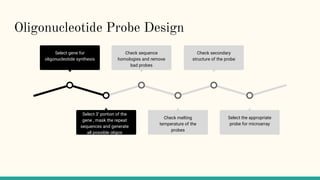 DNA microarray Technique | PPTX | Chemistry | Science