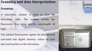 dna microarray .pptx