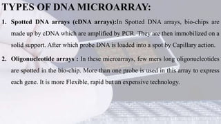dna microarray .pptx