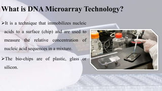 dna microarray .pptx