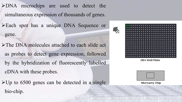 Dna Microarray Pptx