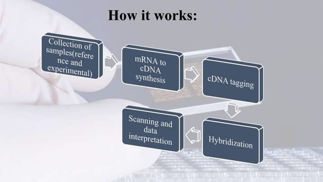 Dna Microarray Pptx