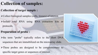 dna microarray .pptx