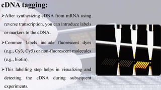 dna microarray .pptx
