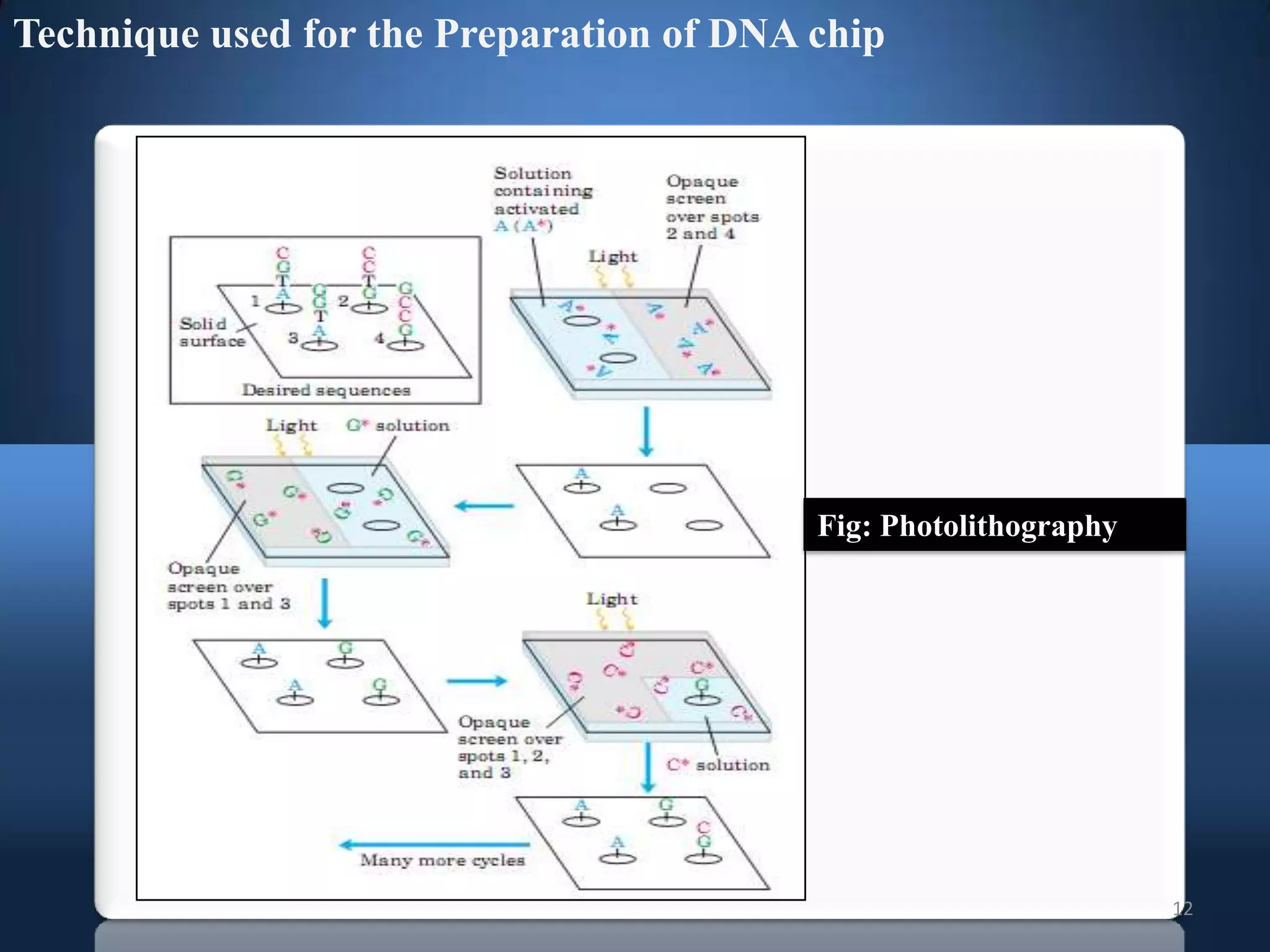 Dna microarray (dna chips) | PPTX
