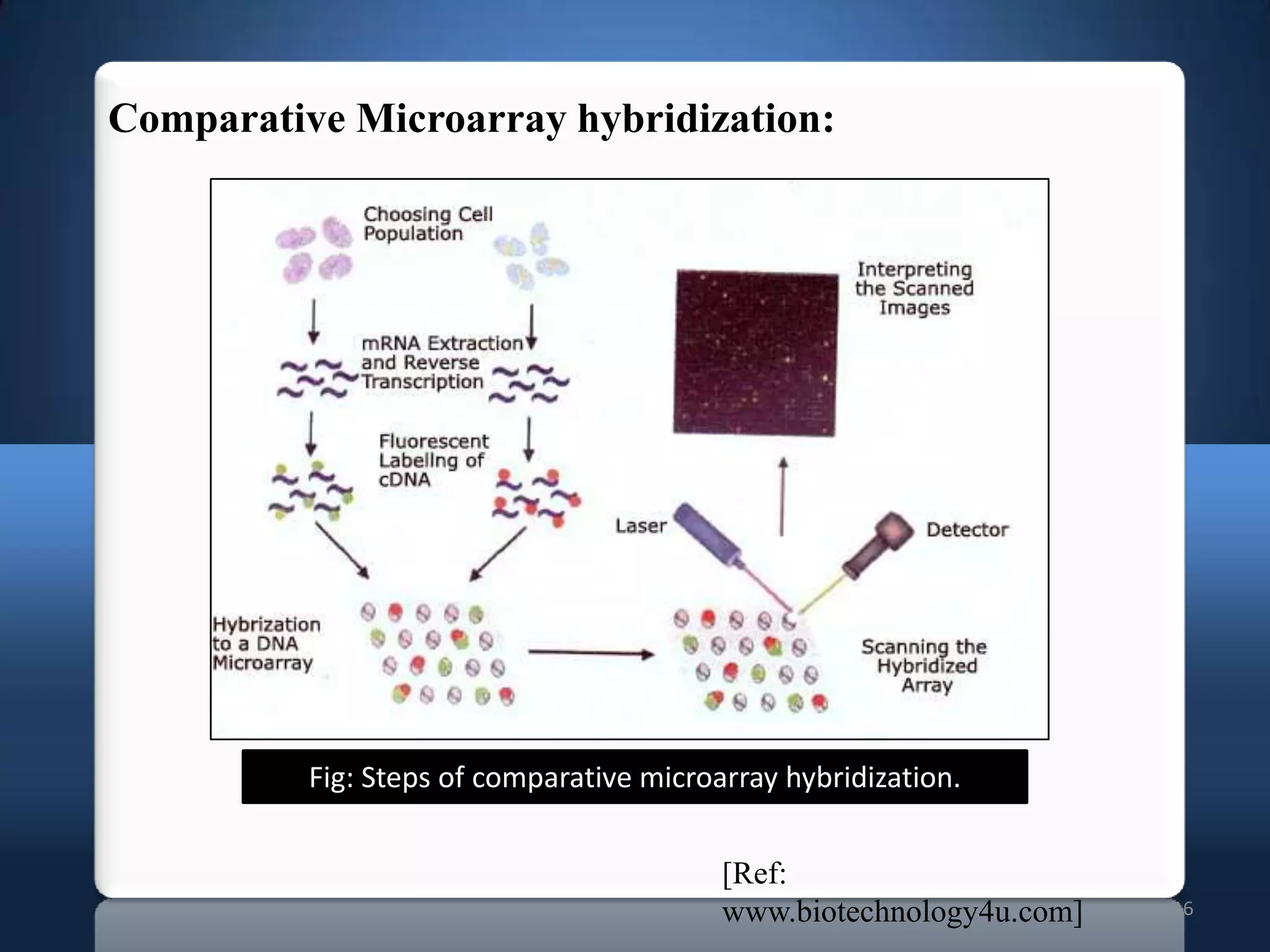 Dna microarray (dna chips) | PPTX