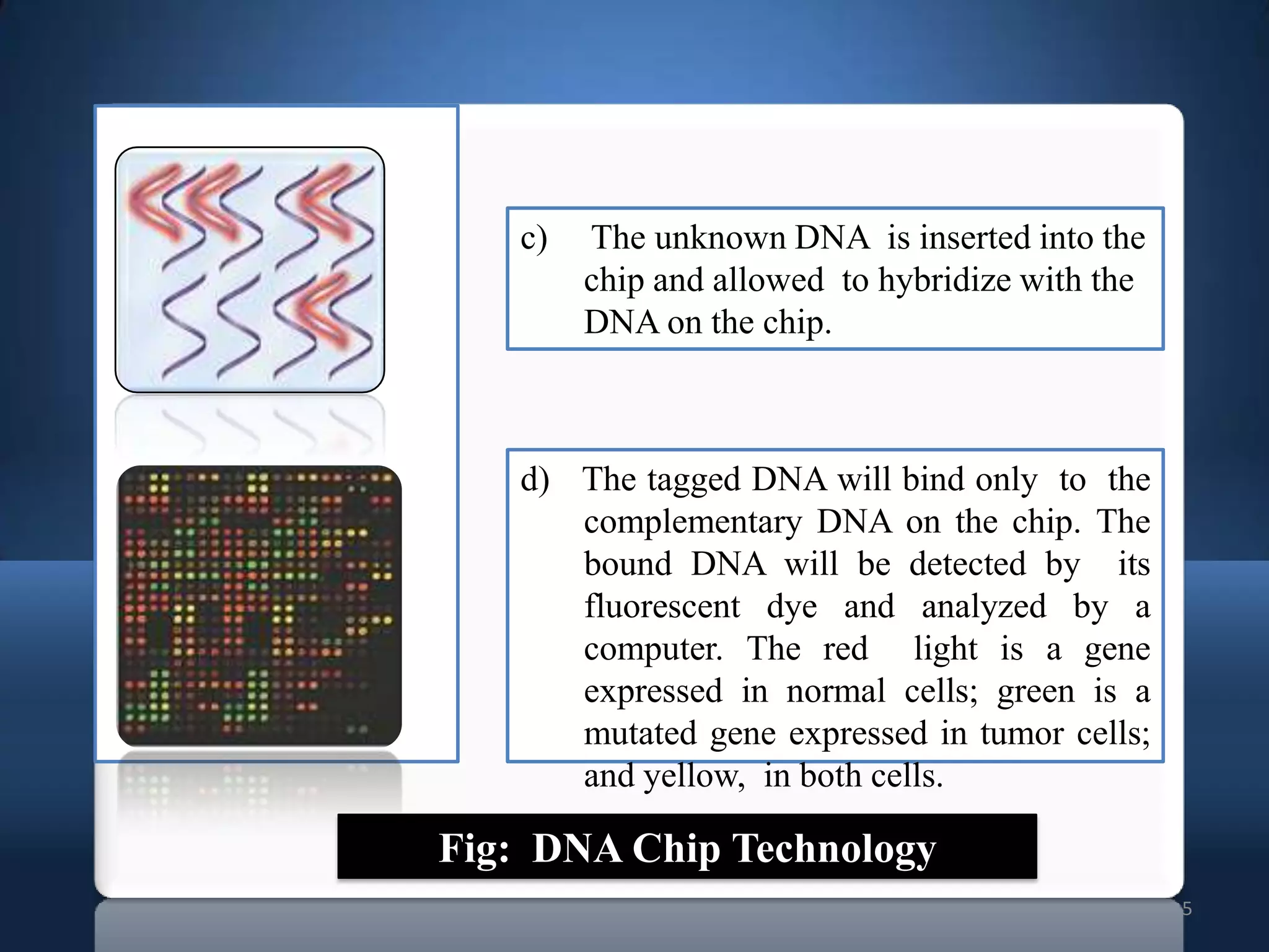 Dna microarray (dna chips) | PPTX