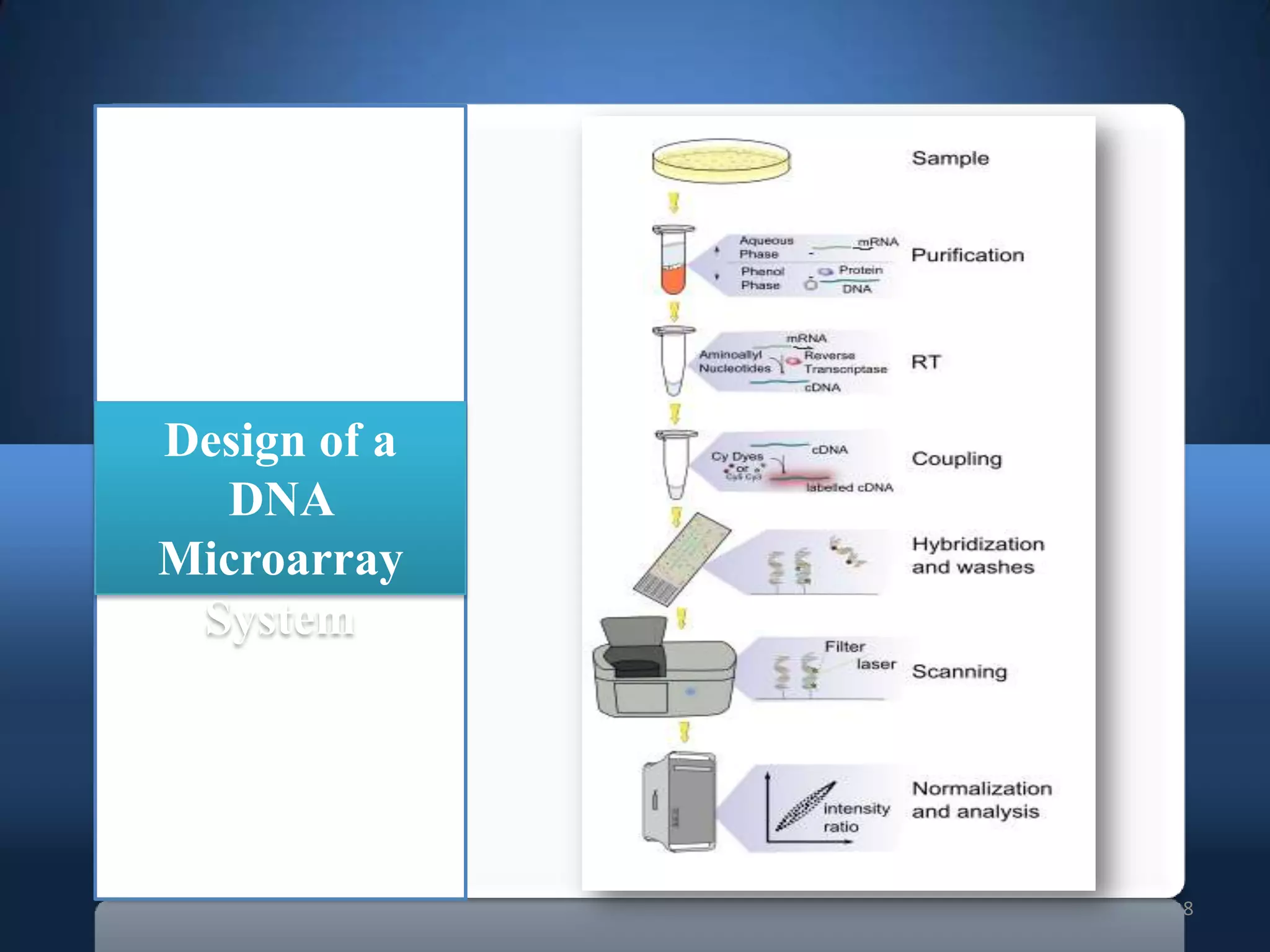 Dna microarray (dna chips) | PPTX
