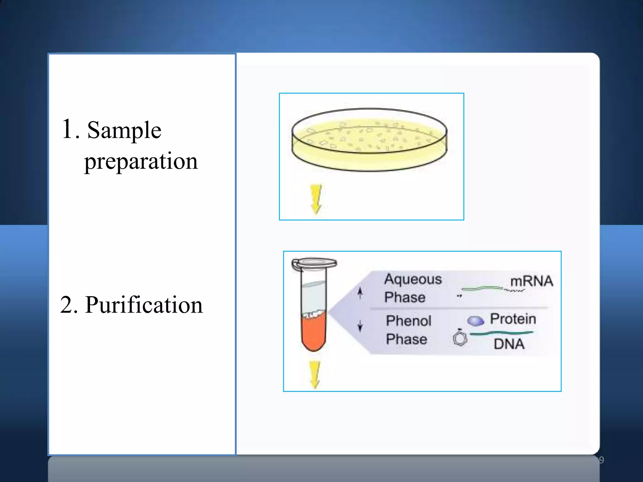 Dna microarray (dna chips) | PPTX