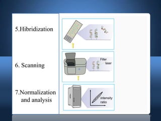Dna microarray (dna chips) | PPTX