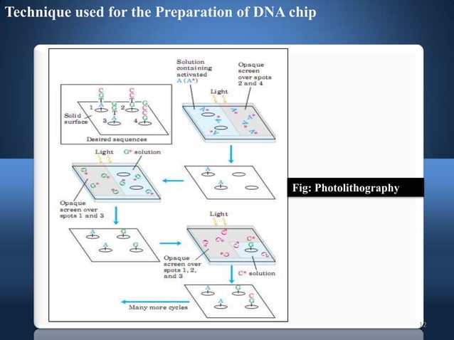 Dna microarray (dna chips) | PPTX