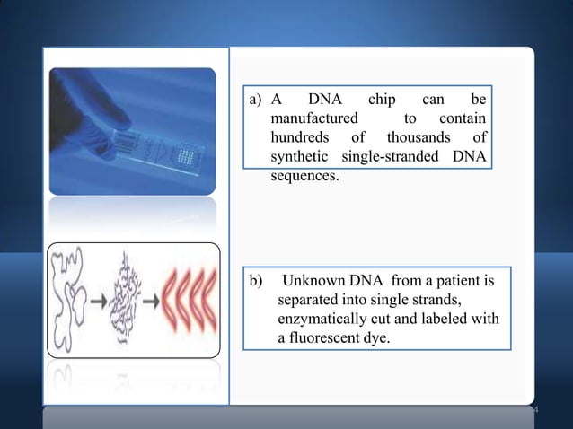Dna microarray (dna chips) | PPTX