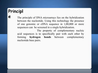 Dna microarray (dna chips) | PPTX