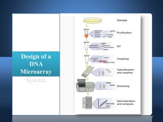 Dna microarray (dna chips) | PPTX