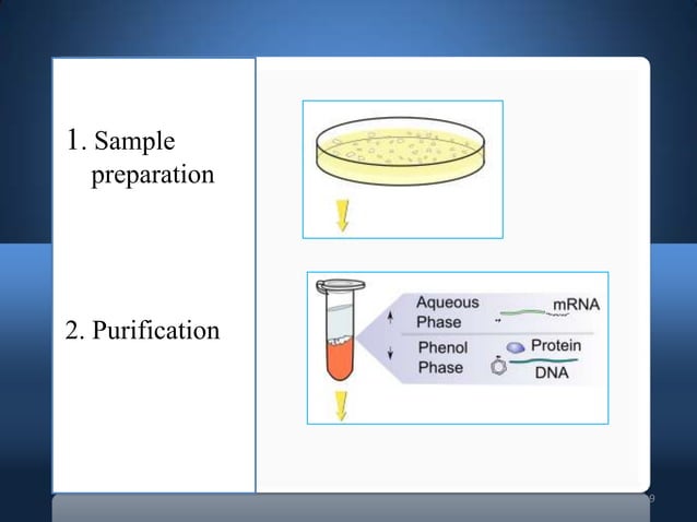 Dna microarray (dna chips) | PPTX
