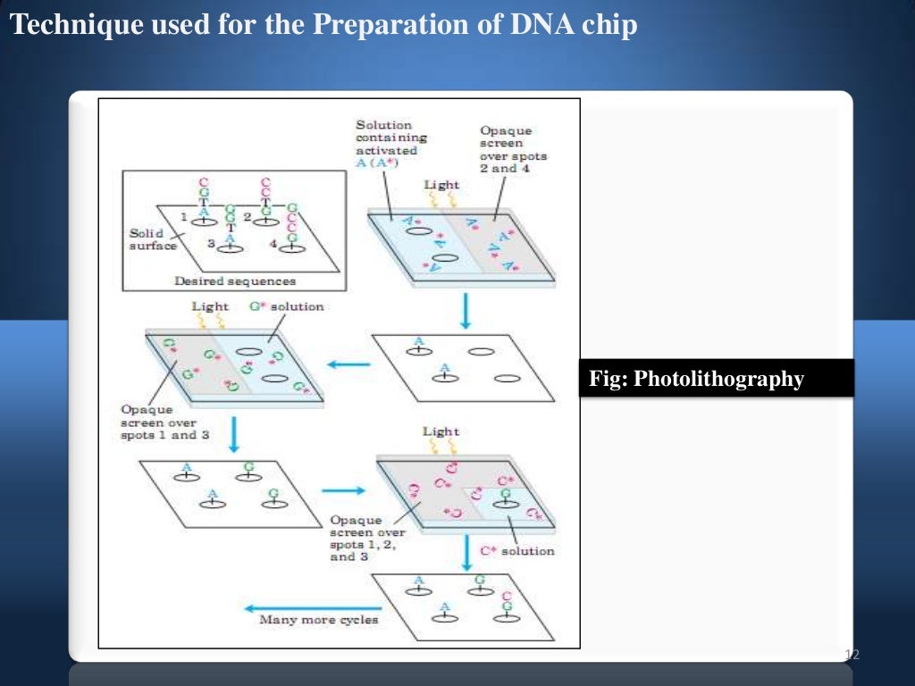 Dna microarray (dna chips)
