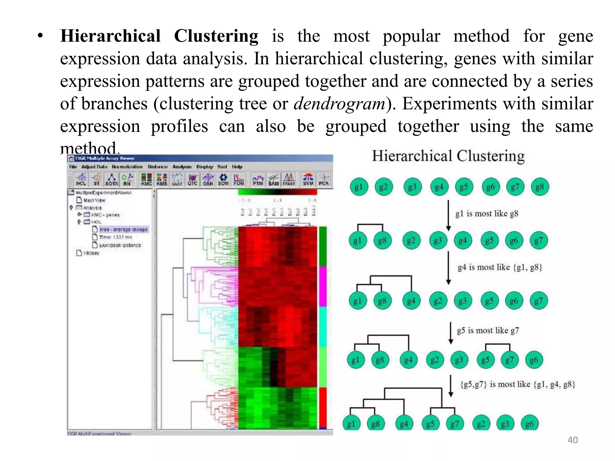 DNA microarray final ppt. | PPTX