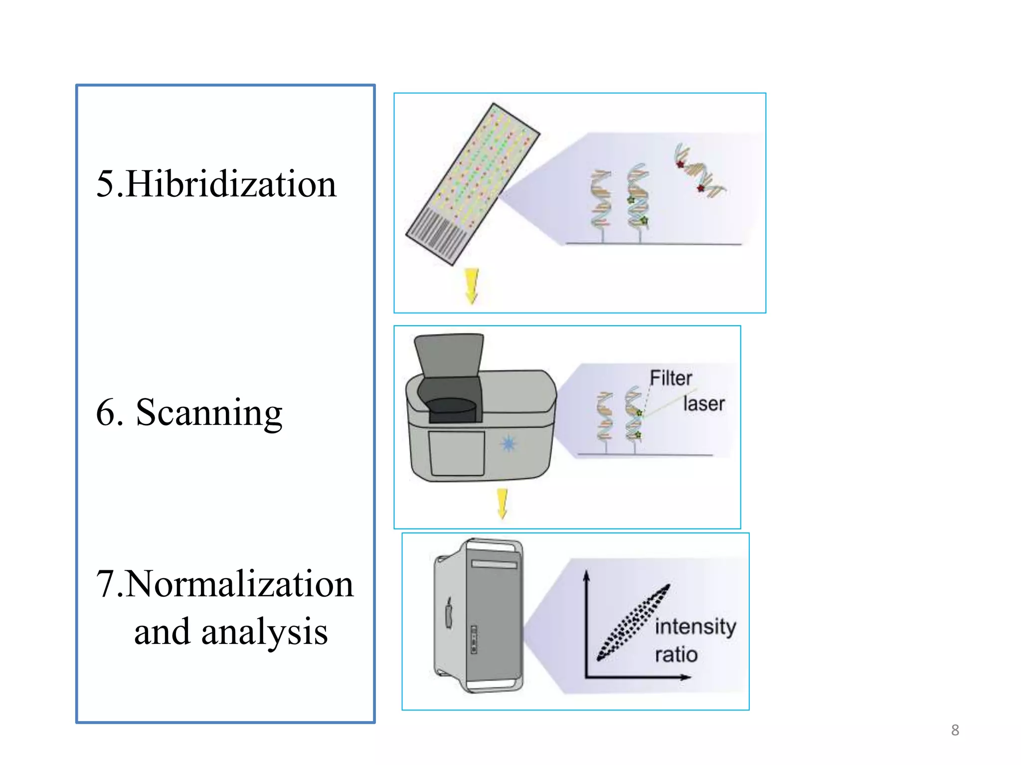DNA microarray final ppt. | PPTX