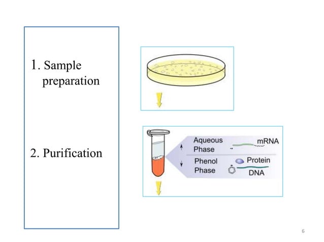 DNA microarray final ppt. | PPTX