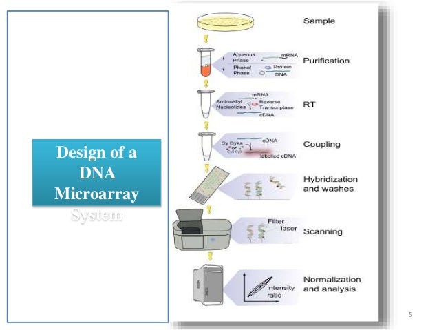 DNA microarray final ppt.