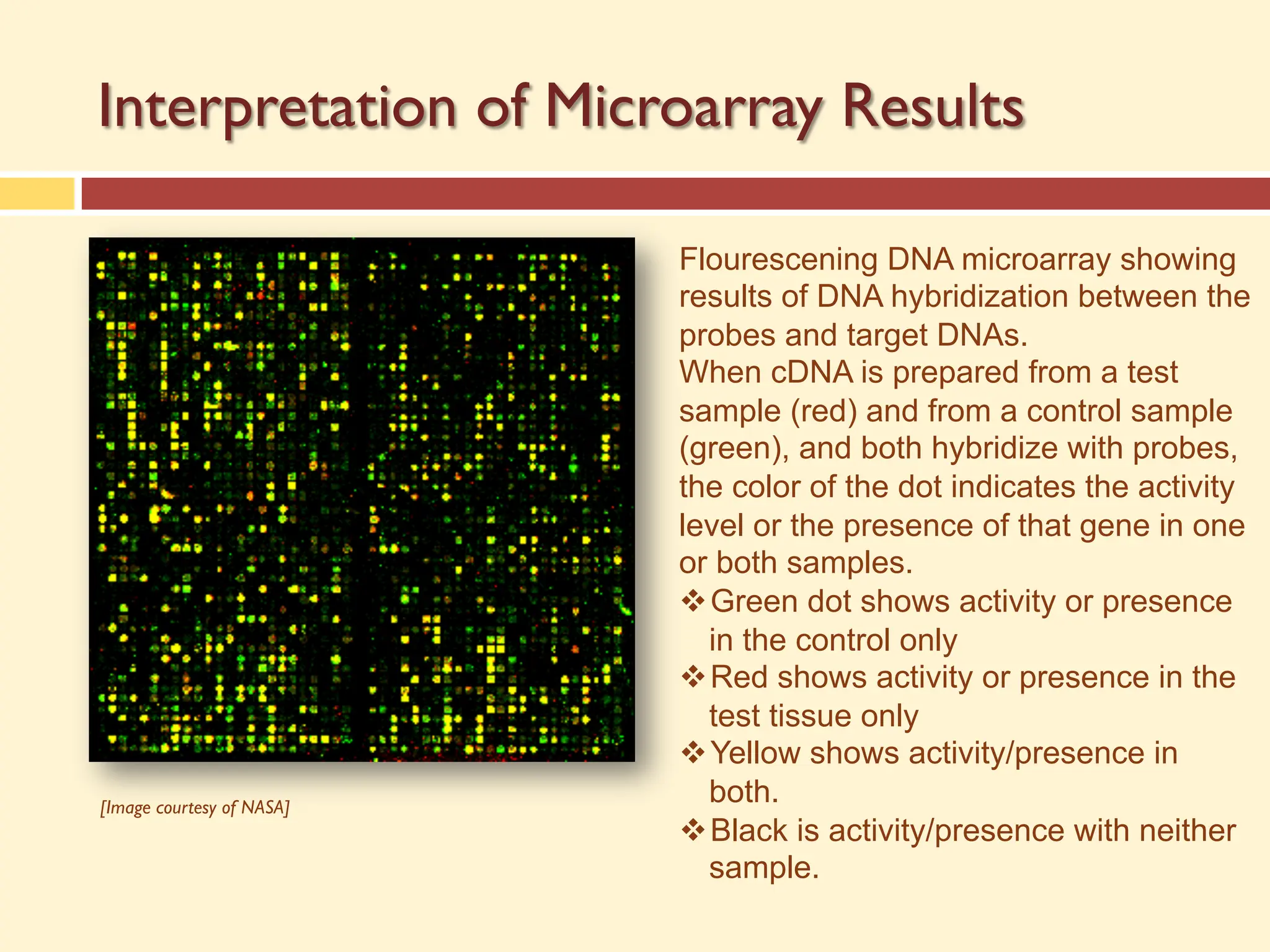 DNA_microarray_presentation Dna fingerprinting dna biotechnology | PDF | Genetics | Science
