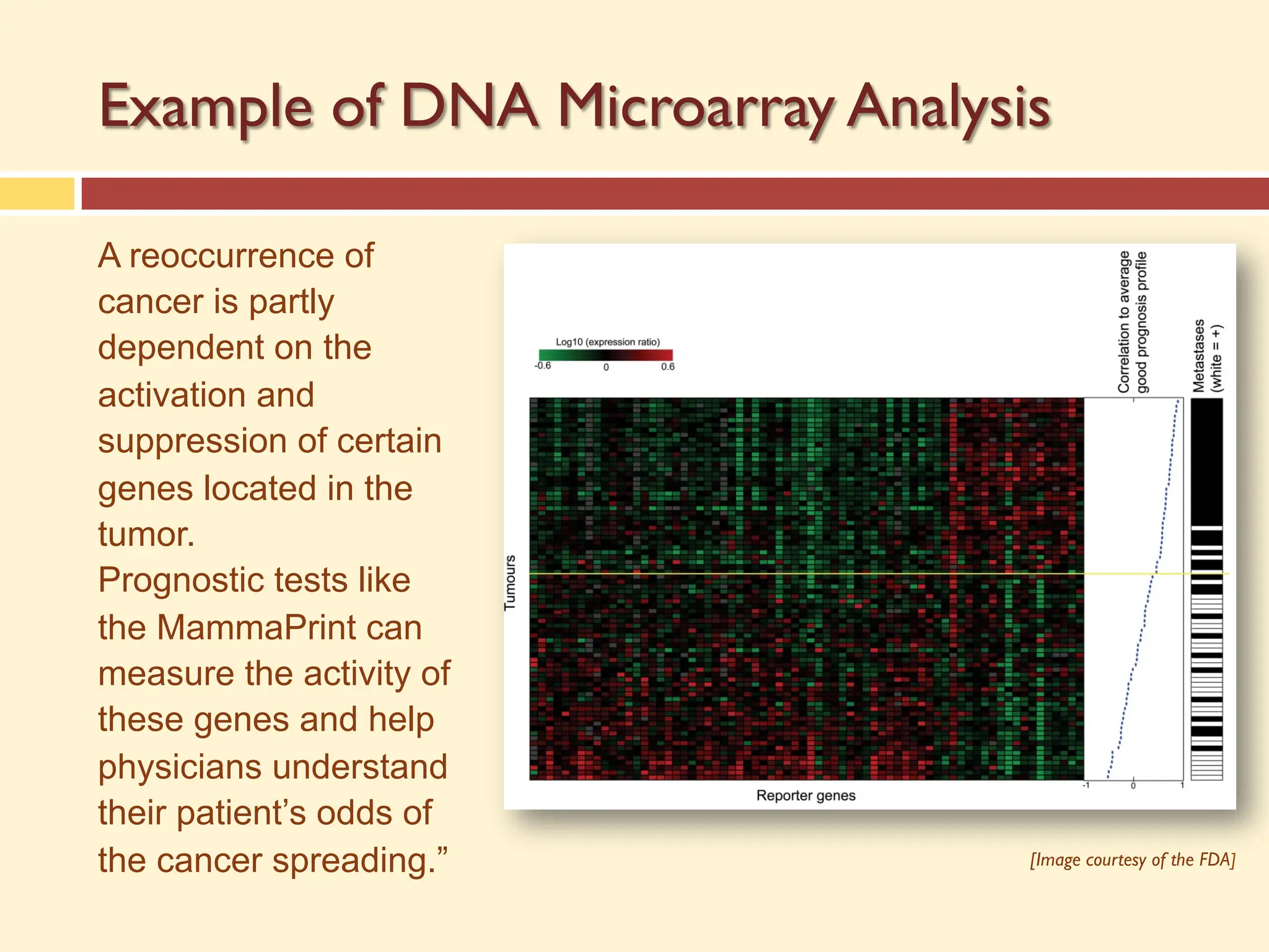 DNA_microarray_presentation Dna fingerprinting dna biotechnology | PDF | Genetics | Science