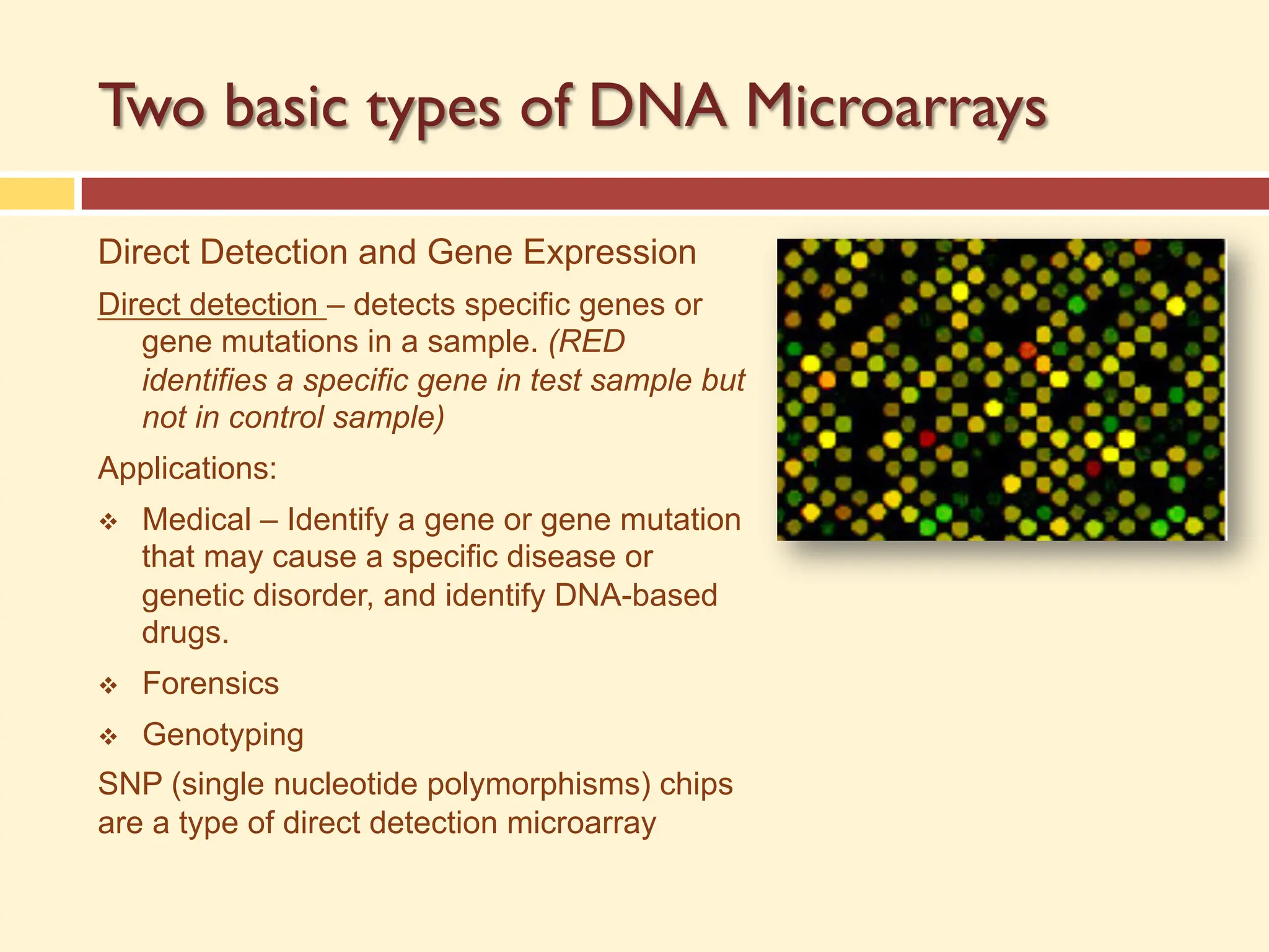 DNA_microarray_presentation Dna fingerprinting dna biotechnology | PDF ...