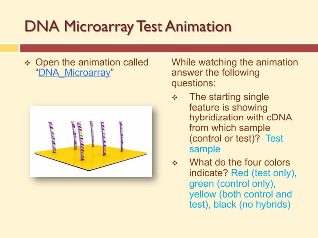 DNA_microarray_presentation Dna fingerprinting dna biotechnology | PDF ...