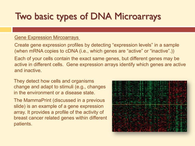 DNA_microarray_presentation Dna fingerprinting dna biotechnology | PDF ...