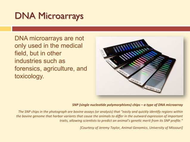 DNA_microarray_presentation Dna fingerprinting dna biotechnology | PDF | Genetics | Science