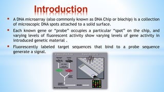 DNA MICRO ARRAY TECHNIQUE | PPT