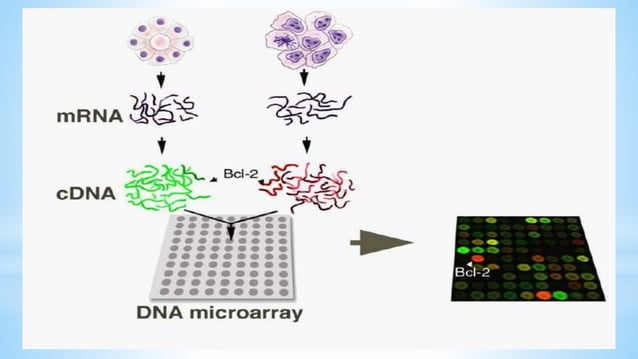 DNA MICRO ARRAY TECHNIQUE | PPT