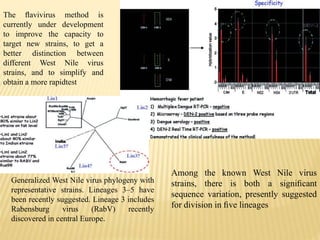 Dna microarray technique for detection and identification of VIRUS | PPT
